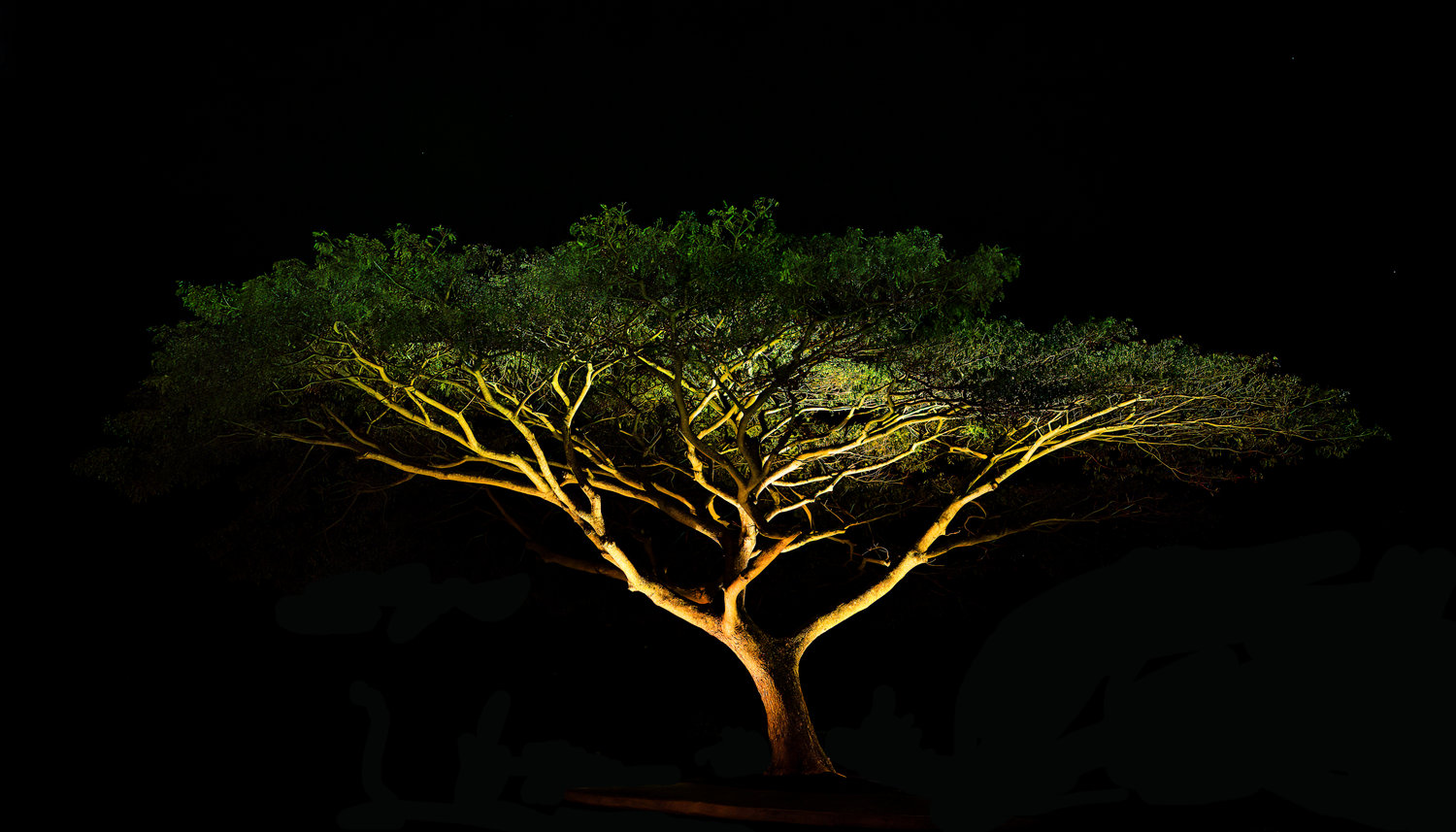 Stephen Omo Photography