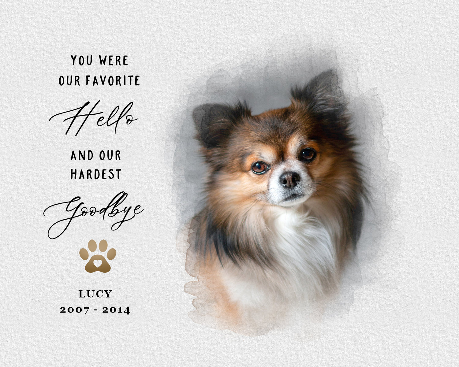 Pet Artwork - Sara Mauer Photography