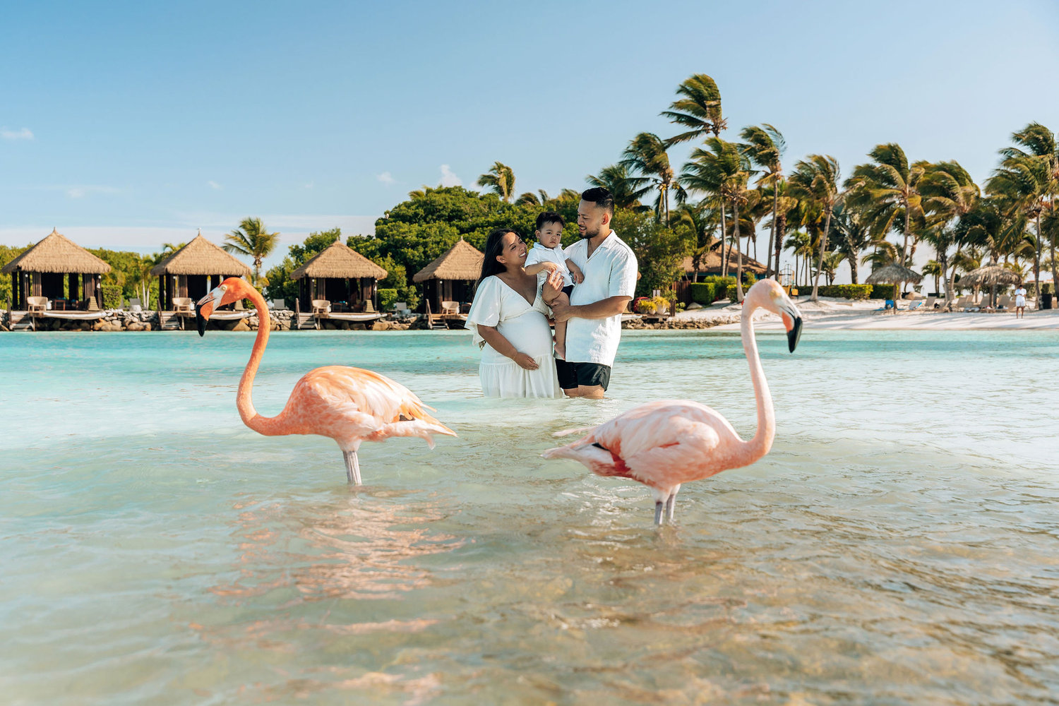 Renaissance Private Island - Aruba Paradise Photos