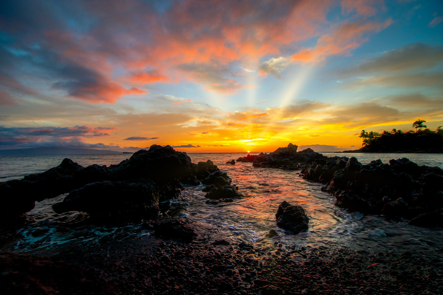 Fine Art Nature - Creative Portraits by Jason Stewart