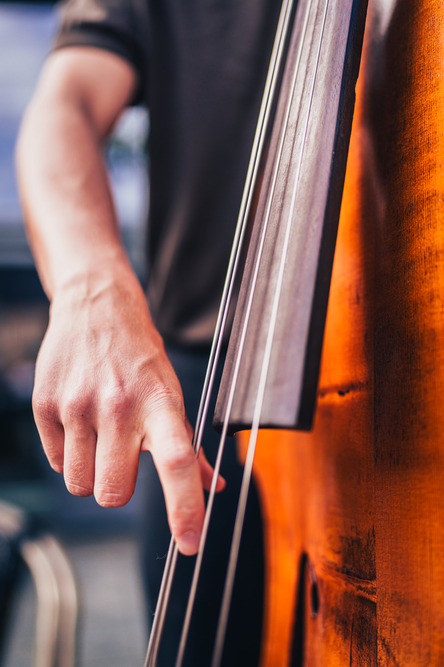 Jazz-musikere - Qualia AS