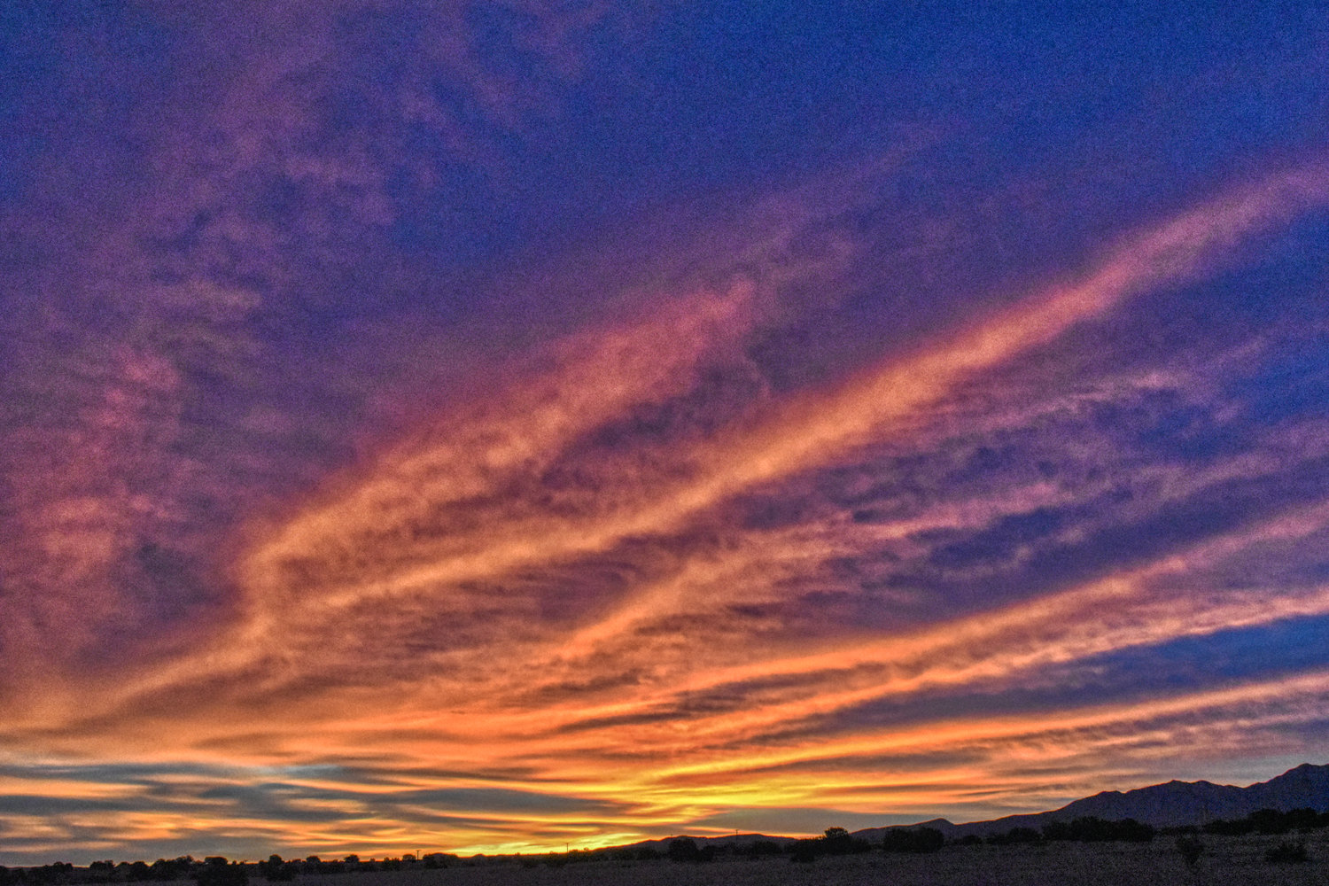 My Portfolio - Colors of Life Photography