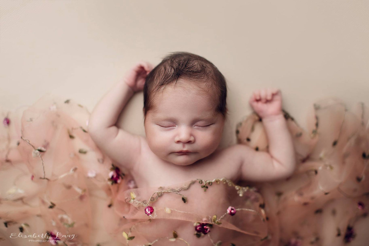 What Camera Do You Use- Elizabeth Lang Photography - Elizabeth Lang ...