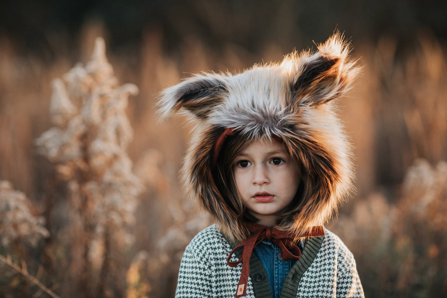 Investment - Amanda Mitchell Photography