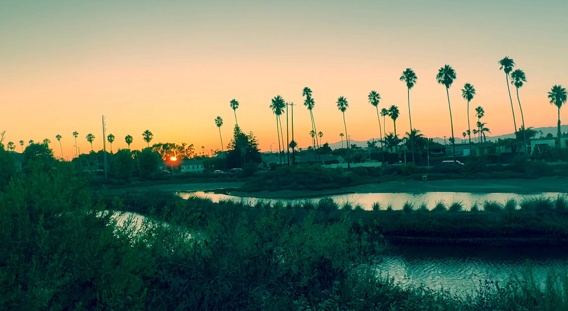 Unplugged by the Water