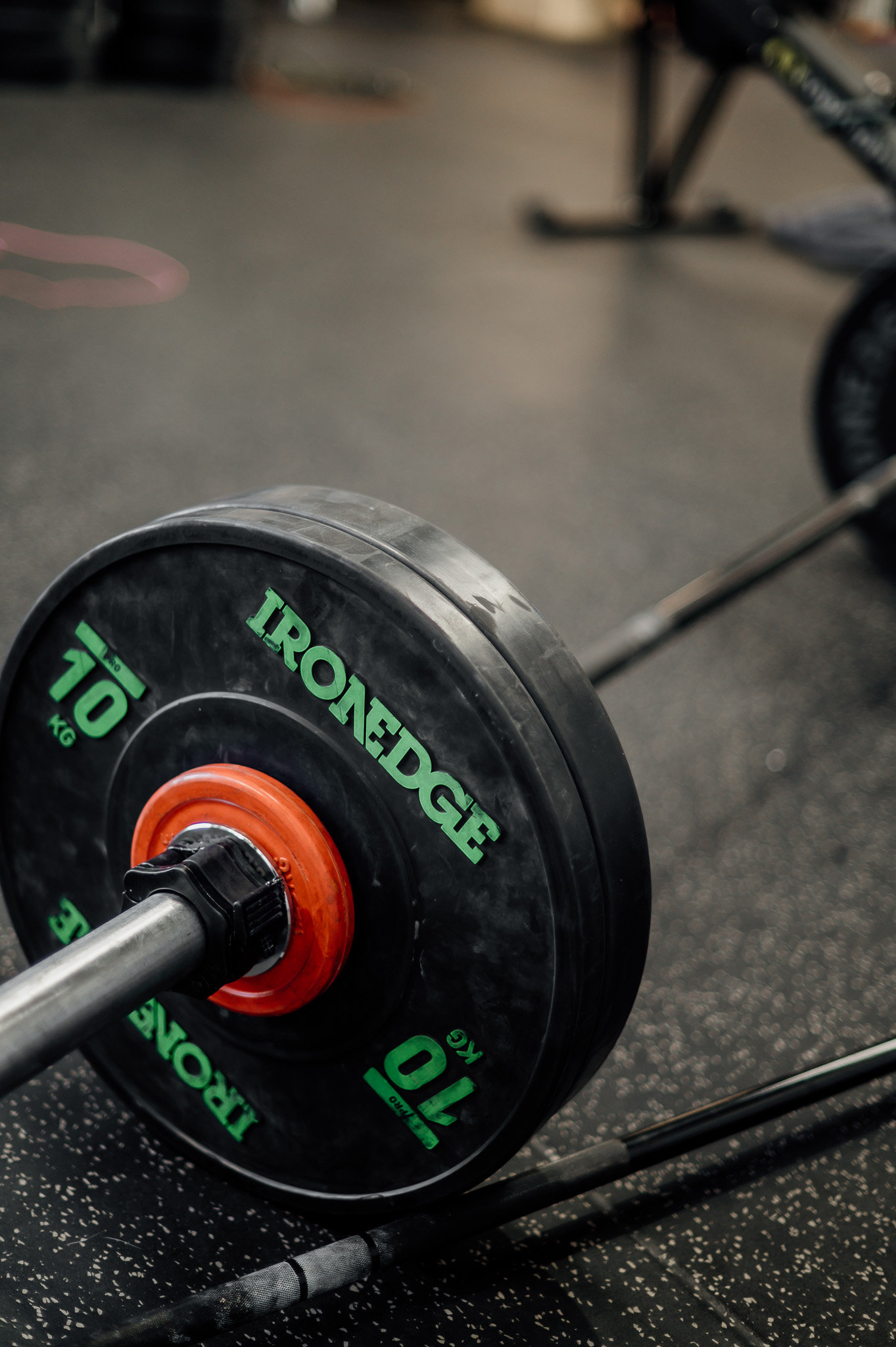 HSJ Creative - HELLO SAMMI JAYNE - Brisbane Photographer