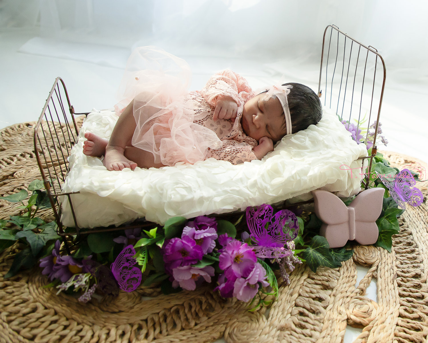 newborn and infant - Tonia Hernandez