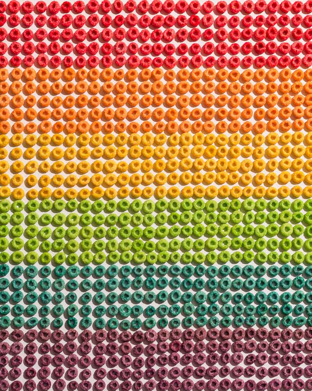 Nancy Anne Photography