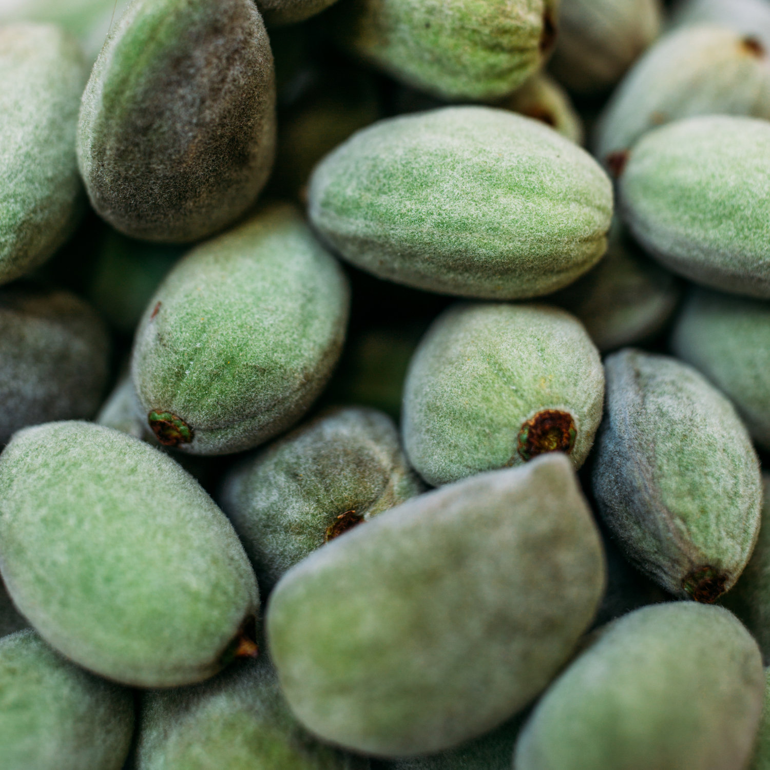 Aider les restaurateurs - Photographe culinaire à Nice, Cannes & Monaco ...