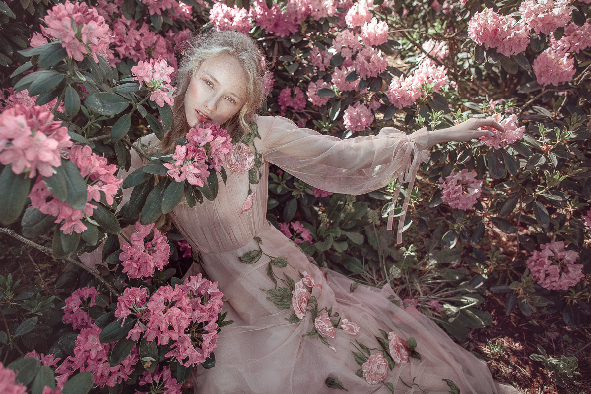 AA Studio Photography