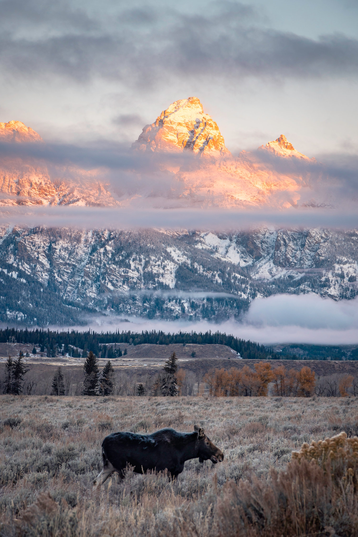 Wyoming Photos - Goodale Media