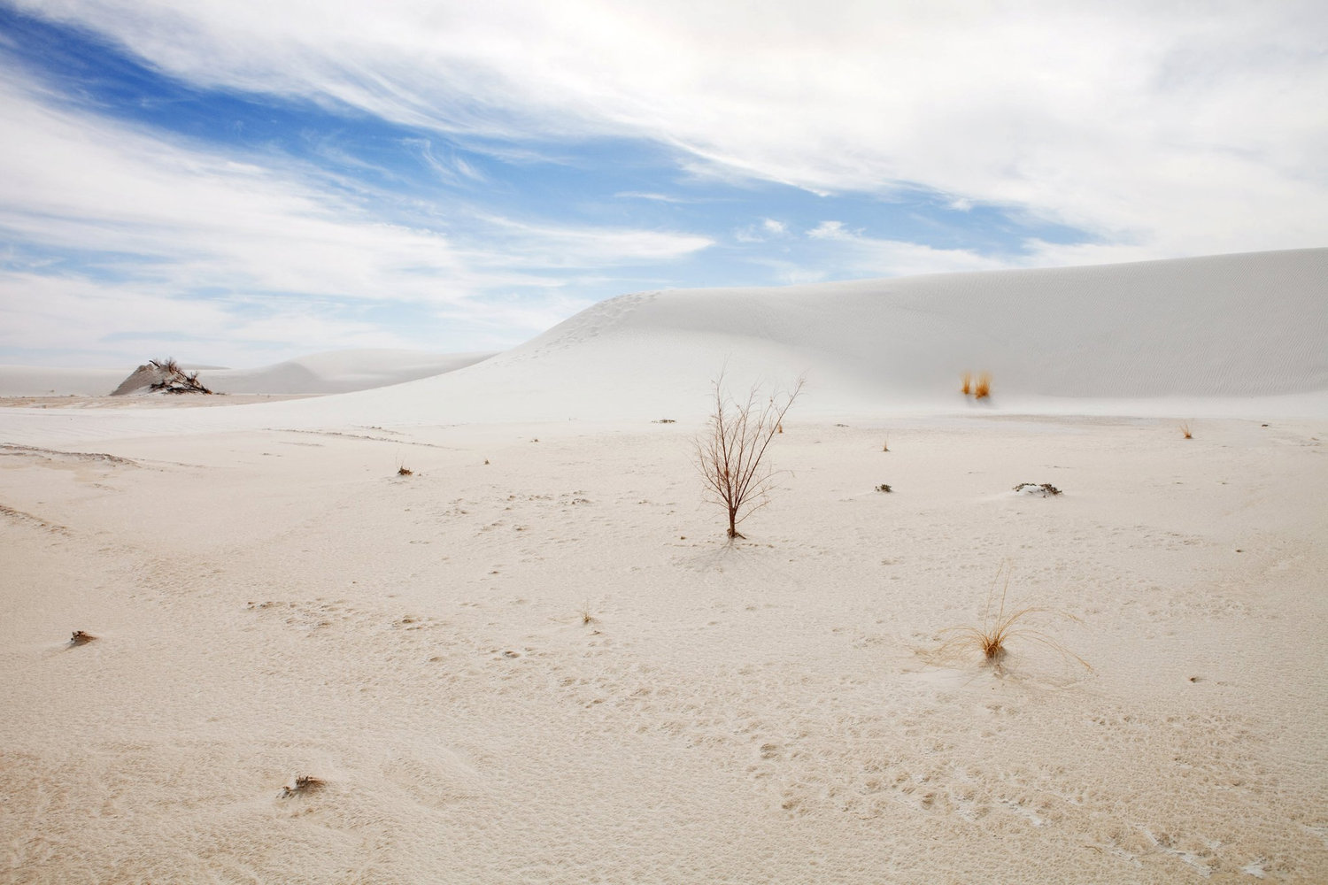 White Sands Portfolio - Julian Clay Shelton, Photographer