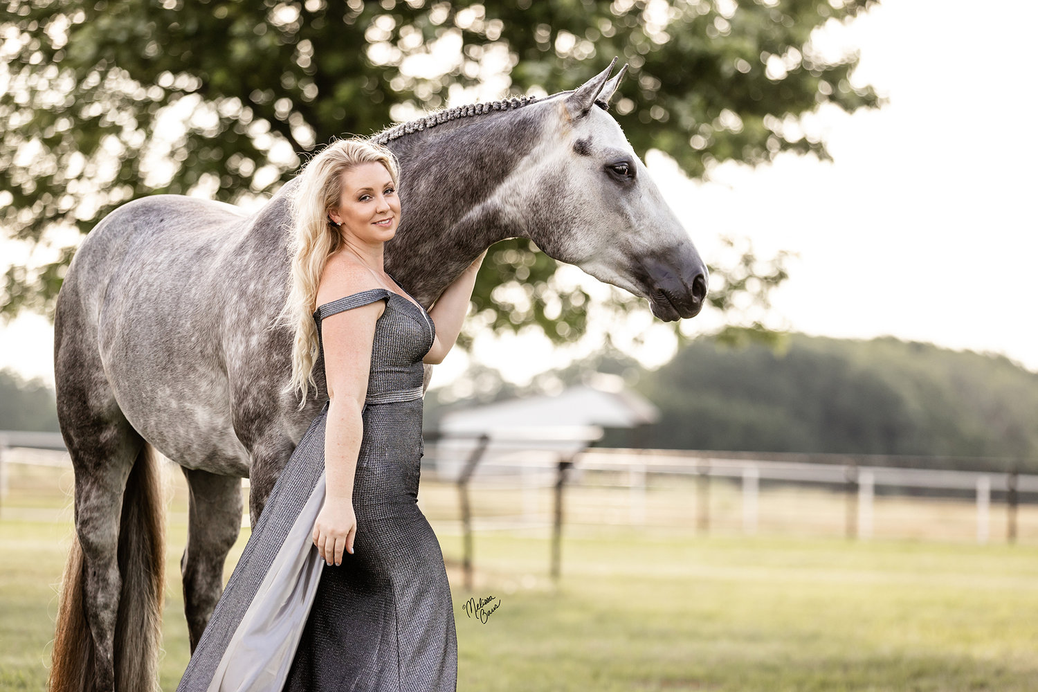 Easy Equine - Melissa Baus Design - Fine Art Equine, Wedding, Family ...