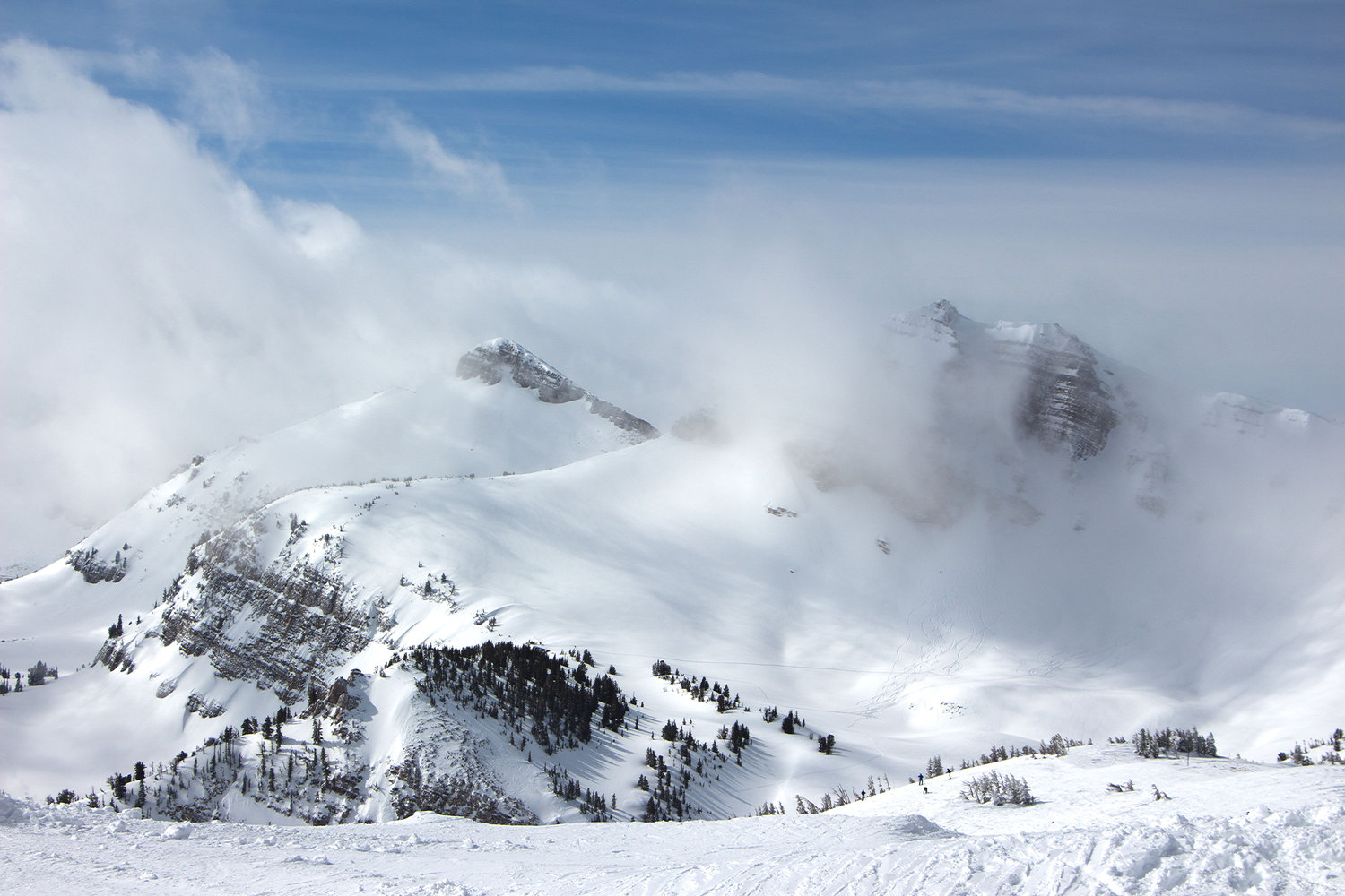 WINTERSCAPES - First Frost Photography