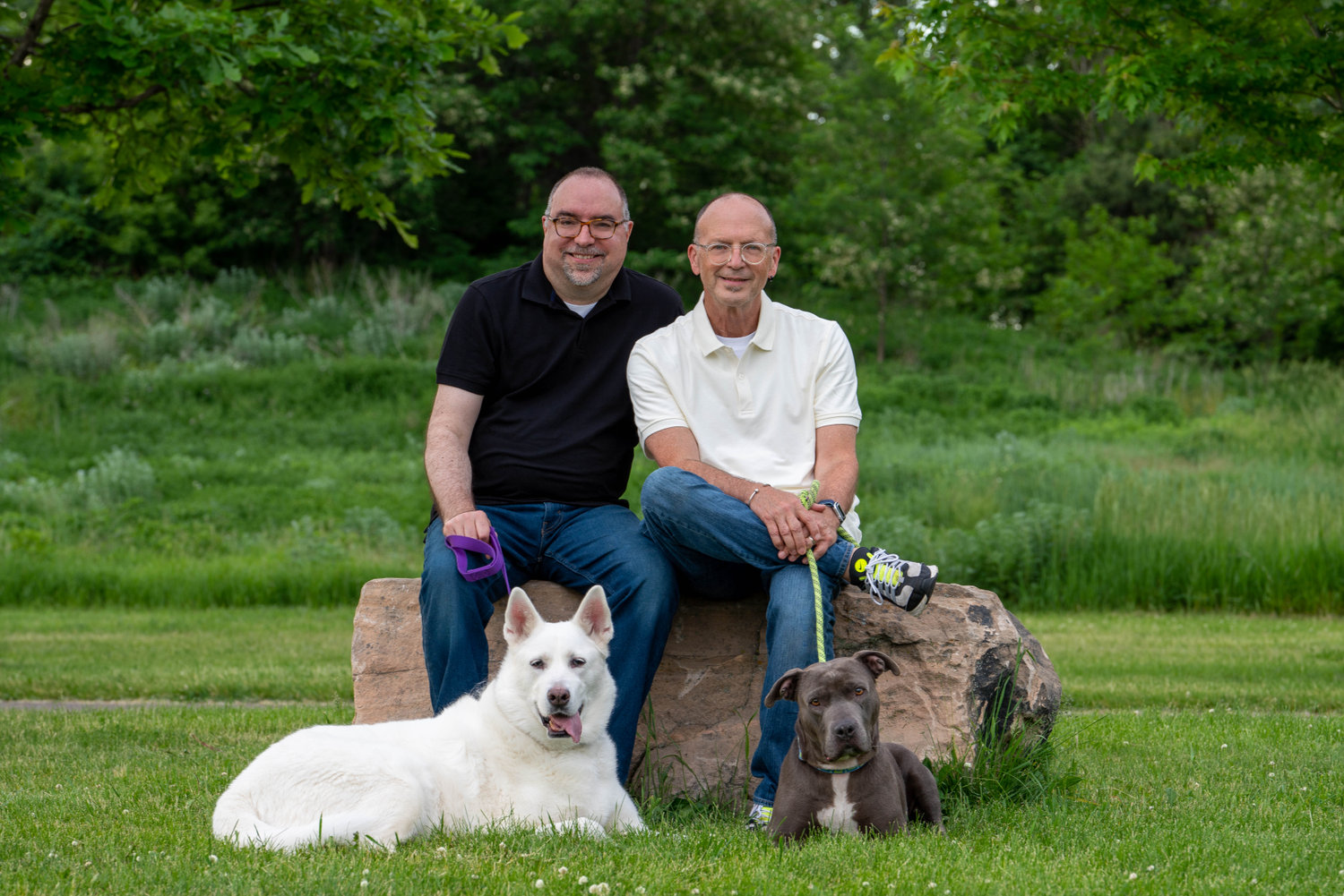 Pet - D Steven Portraits
