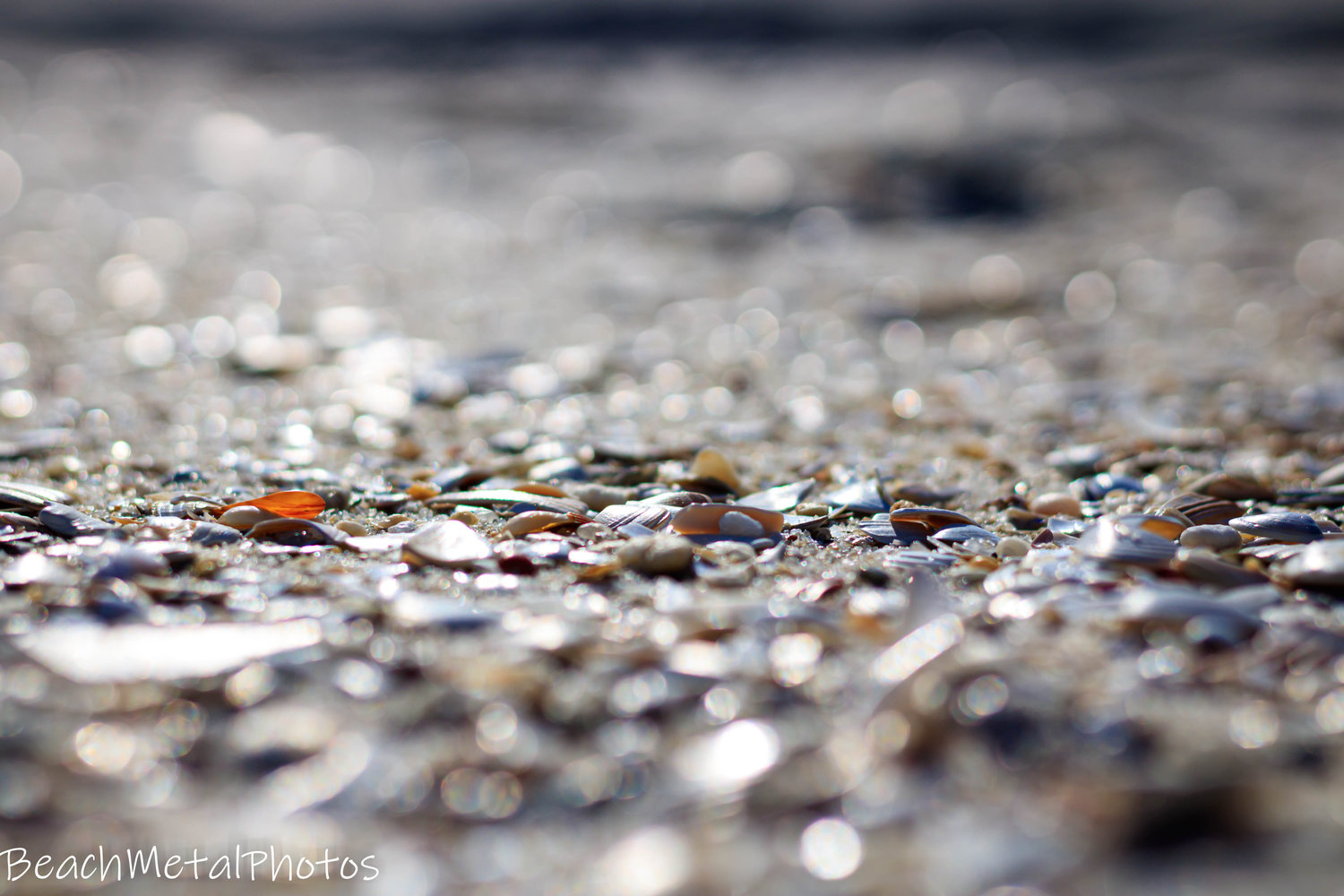 Beach Metal Photos Portfolio - Beach Metal Photos Eclectic and ...