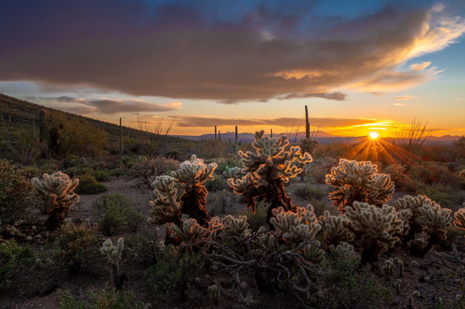 Brett Cook Photography