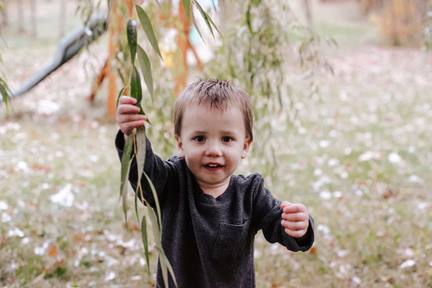 Portfolio - Huber Photography