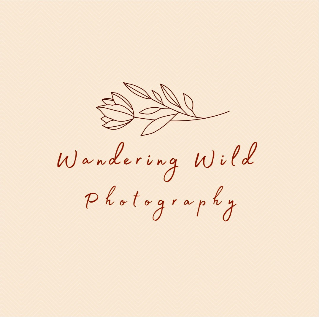 Wildlife - Wandering wild photography