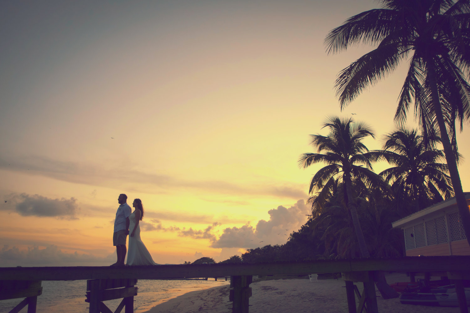 About - David Goddard Photography