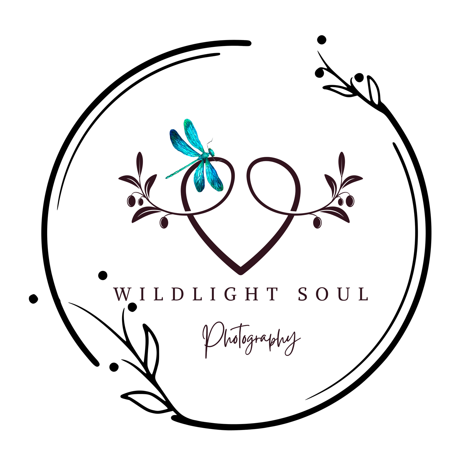 Gallery - Wildlight Soul Photography