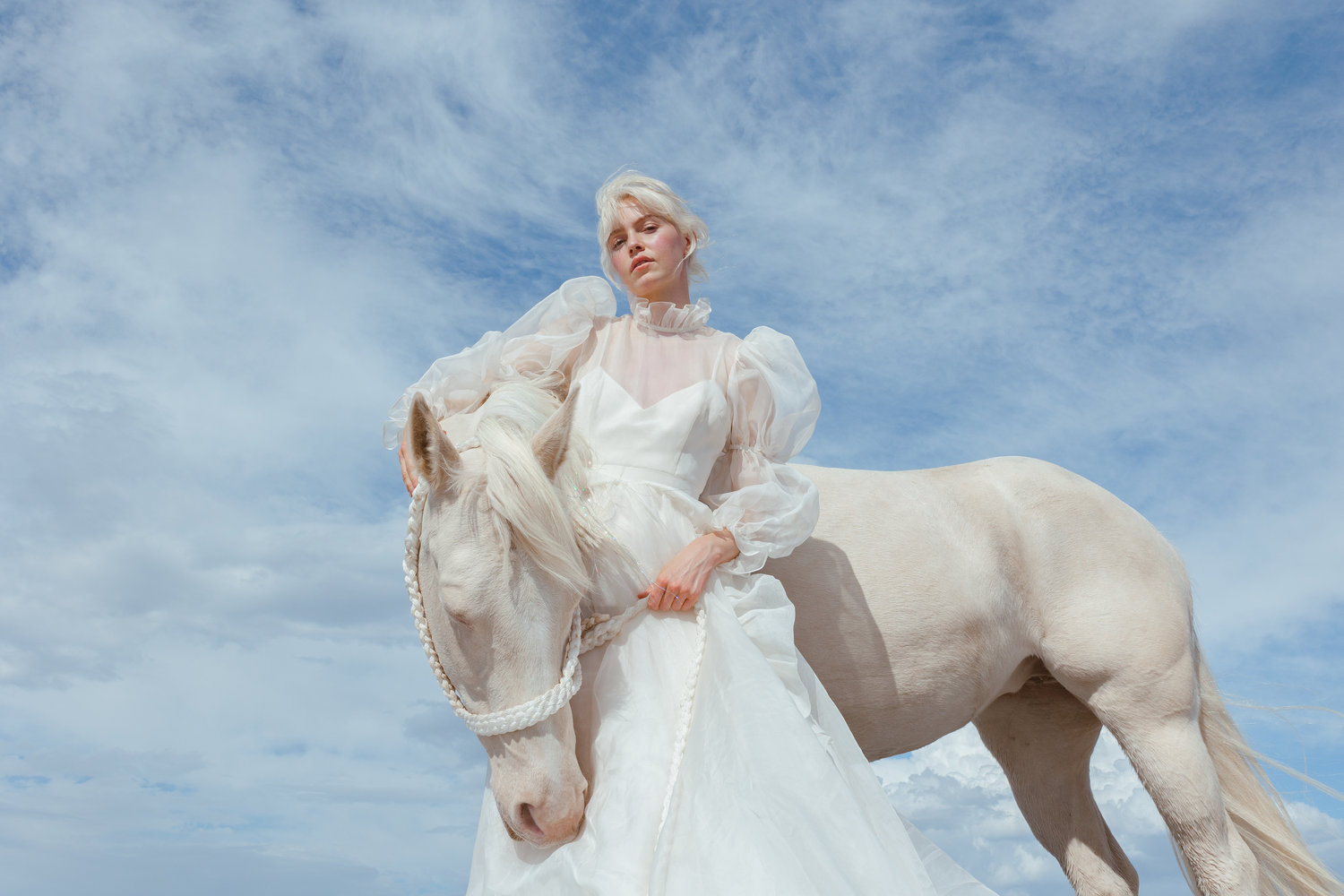 Ashleigh Donnelly Designs, LLC.