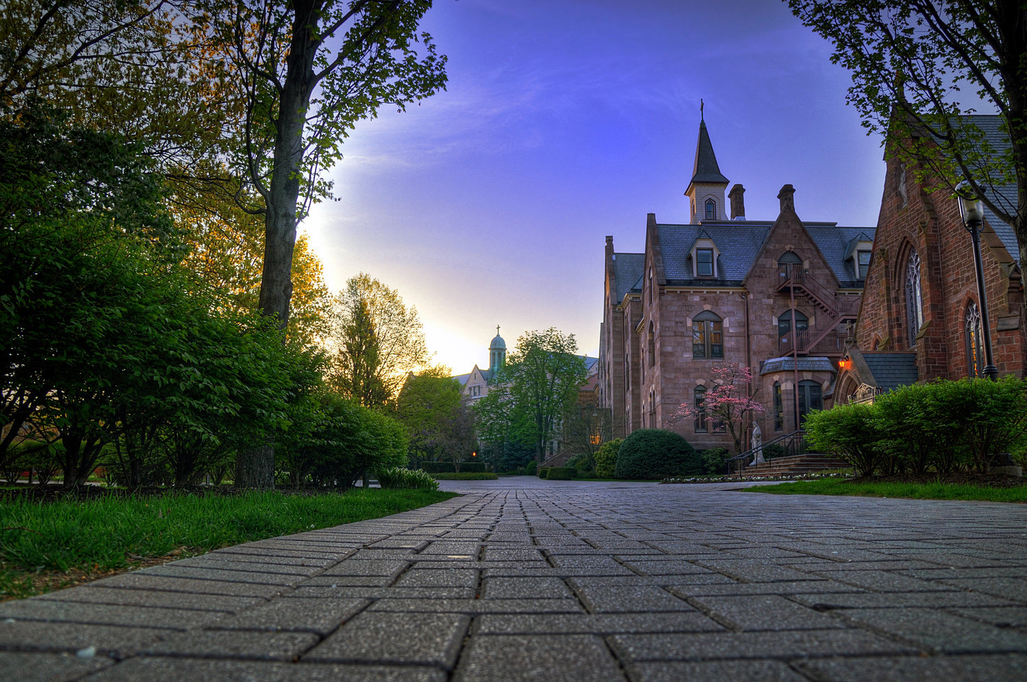 Milan Stanic Photography