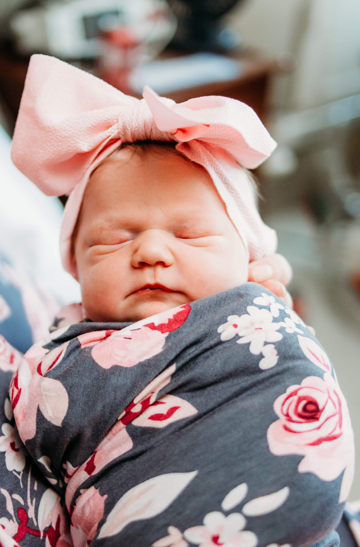 Christina Bolen Photography