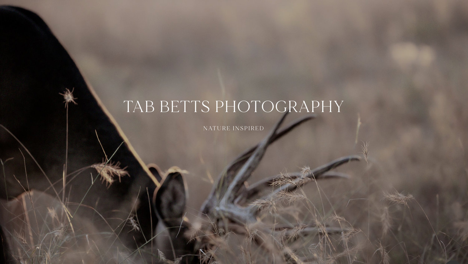 FAQ - Tab Betts Photography