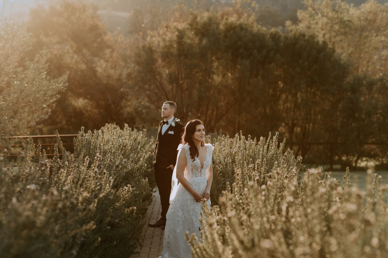 About - BOLD Photography