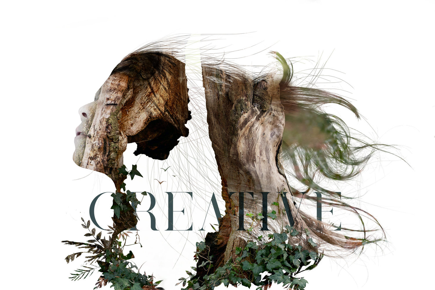 Illustration - Emma Ralph