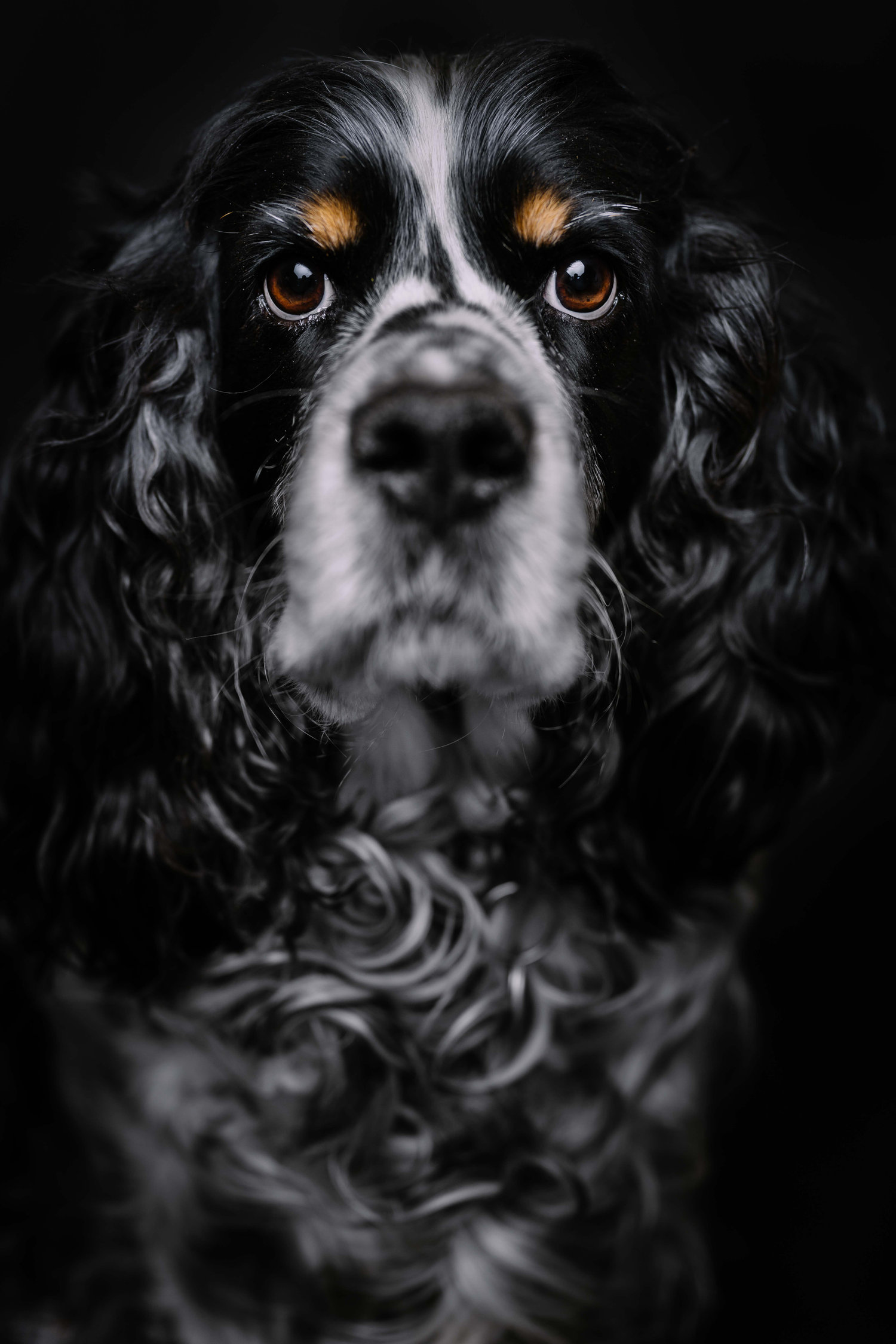 Petman