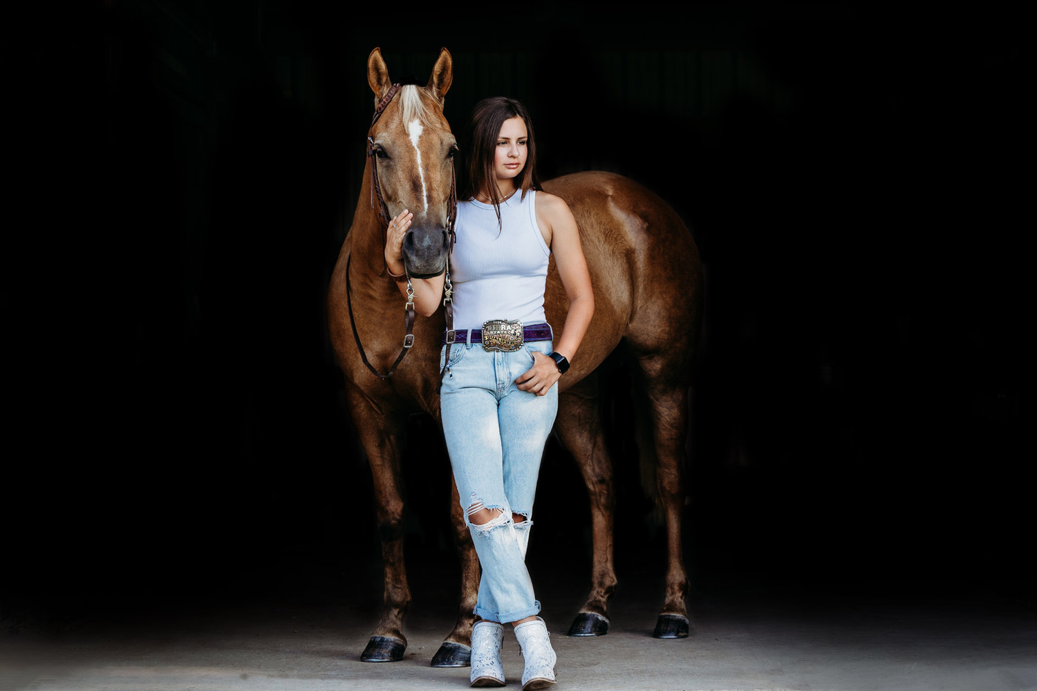 Ga - Constable Equine Photography