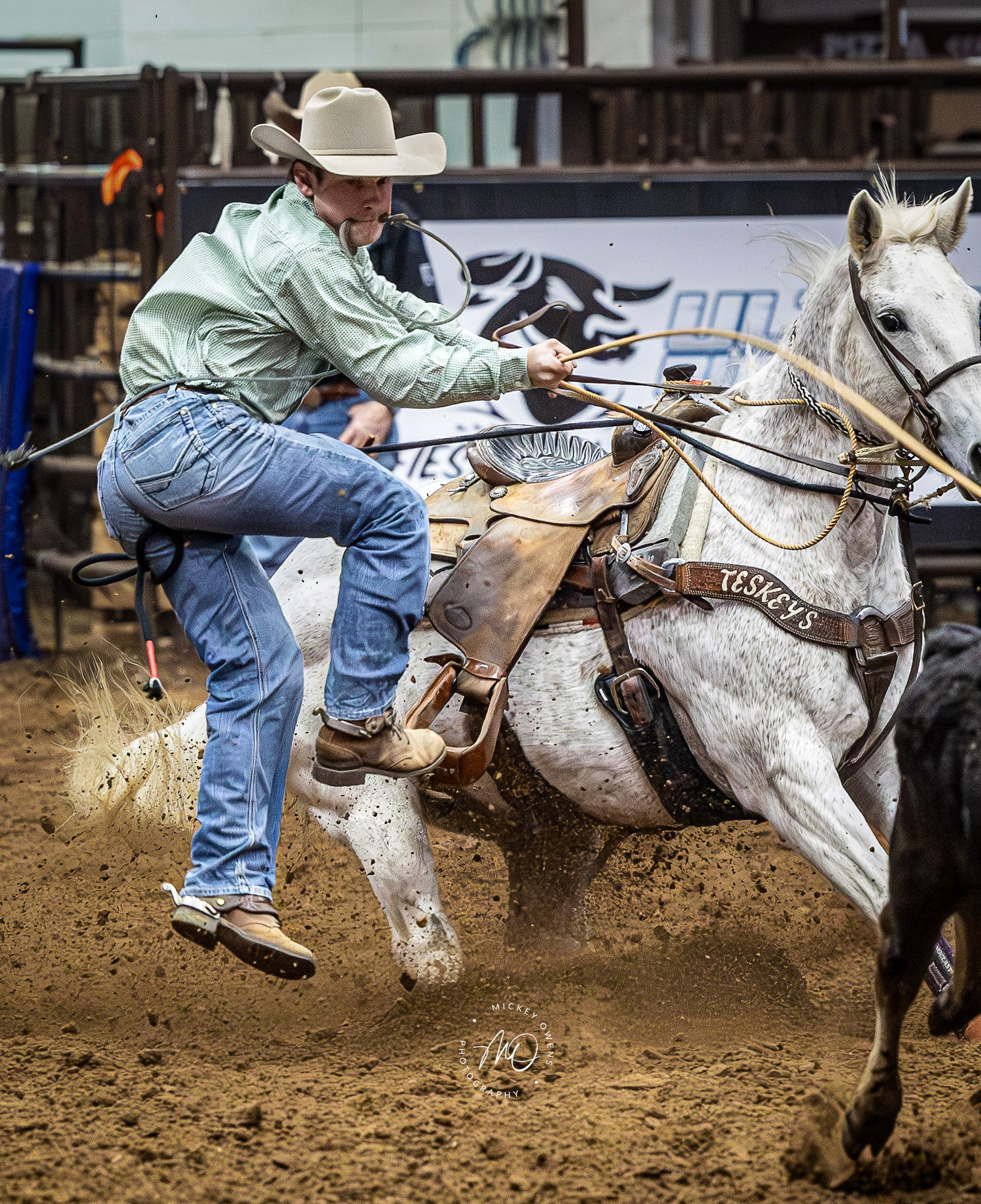 Maddison - Mickey Owens Photography