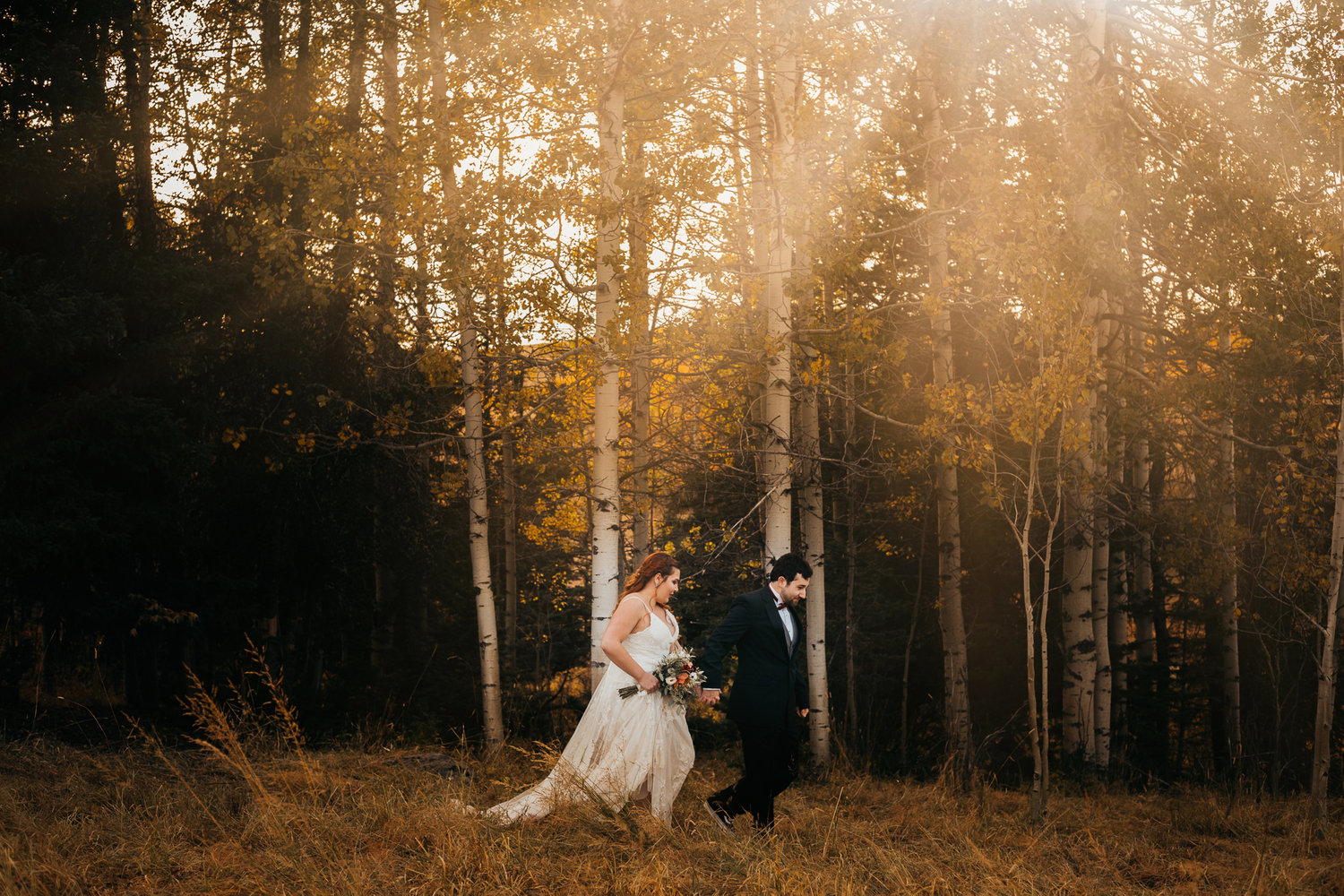 Wandering Willow Imagery