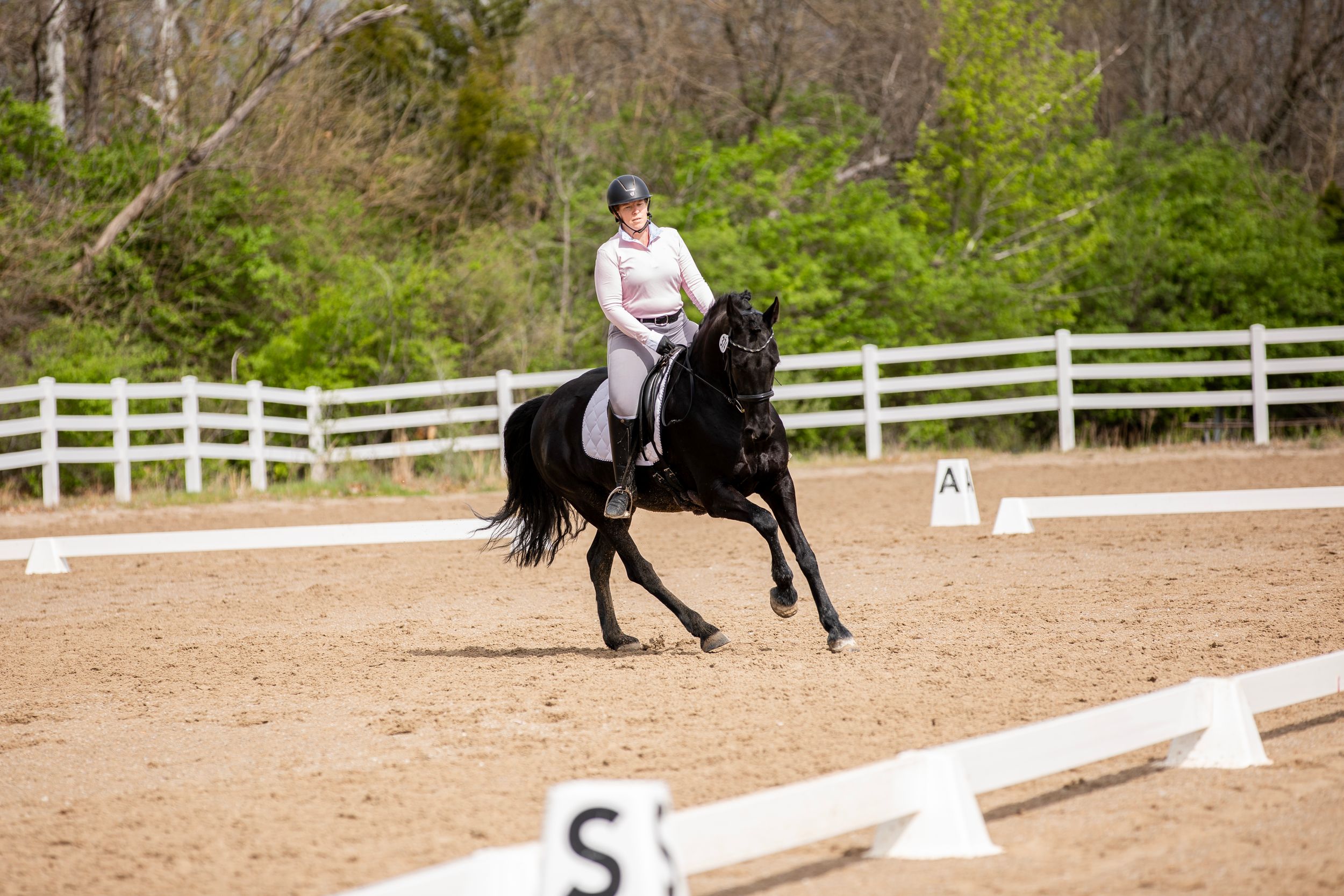 HLJ Images Horse Show Photography - HLJ Images