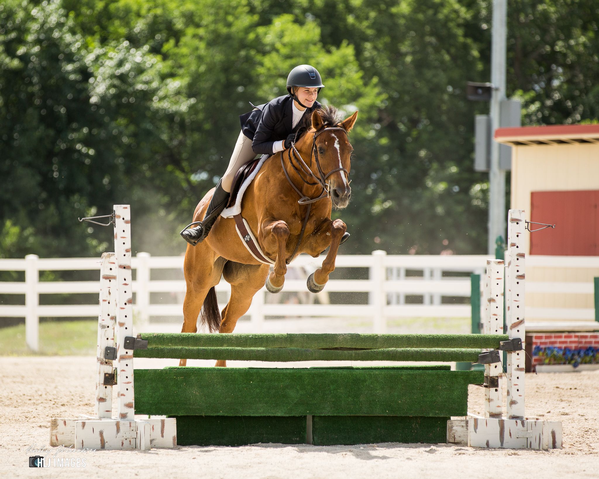 KCPHA and KHJA Show Photography - HLJ Images