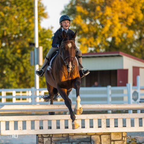 KCPHA and KHJA Show Photography - HLJ Images