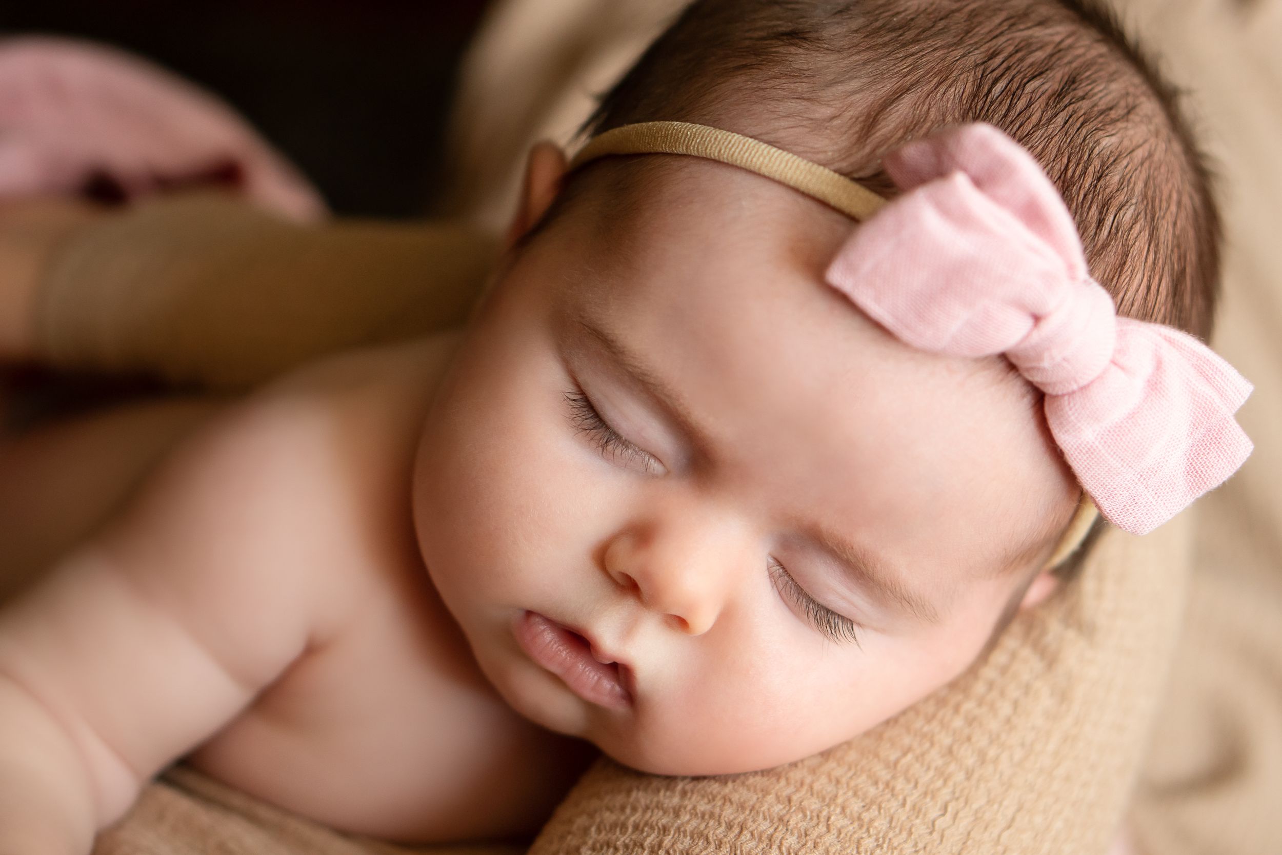 Victoria Christine Photography