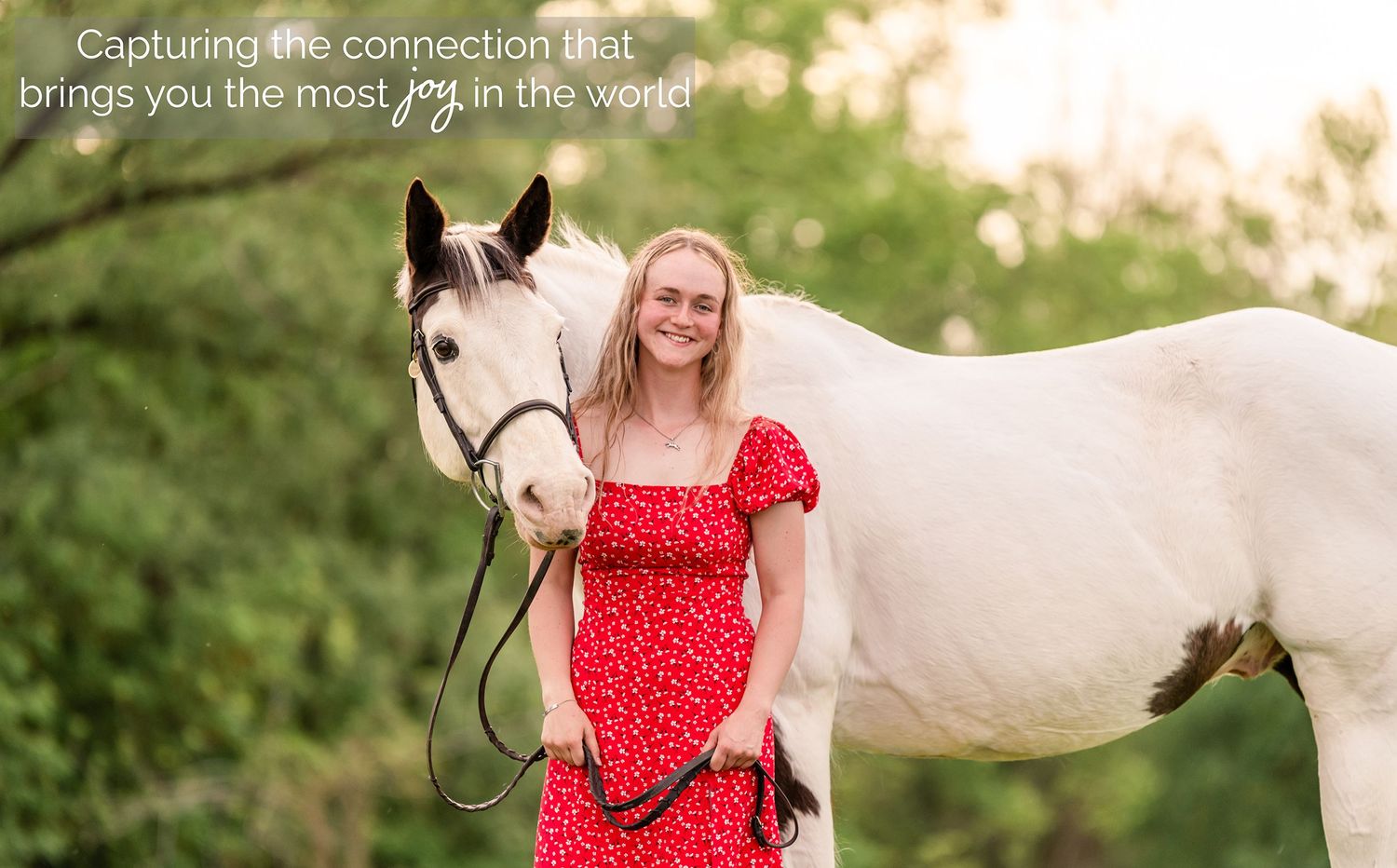 Buffalo, WNY Horse and Pet Photographer | Jordan Testa Photography