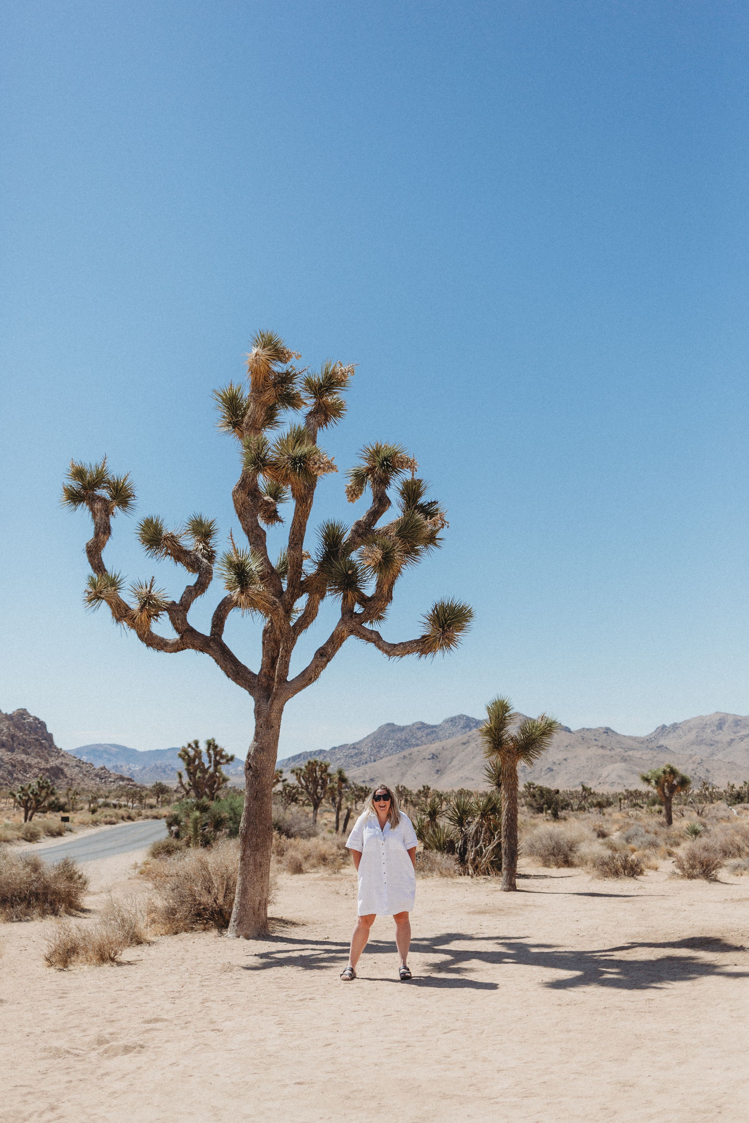 About - Wedding & Elopement Photographer | Codi V Photography