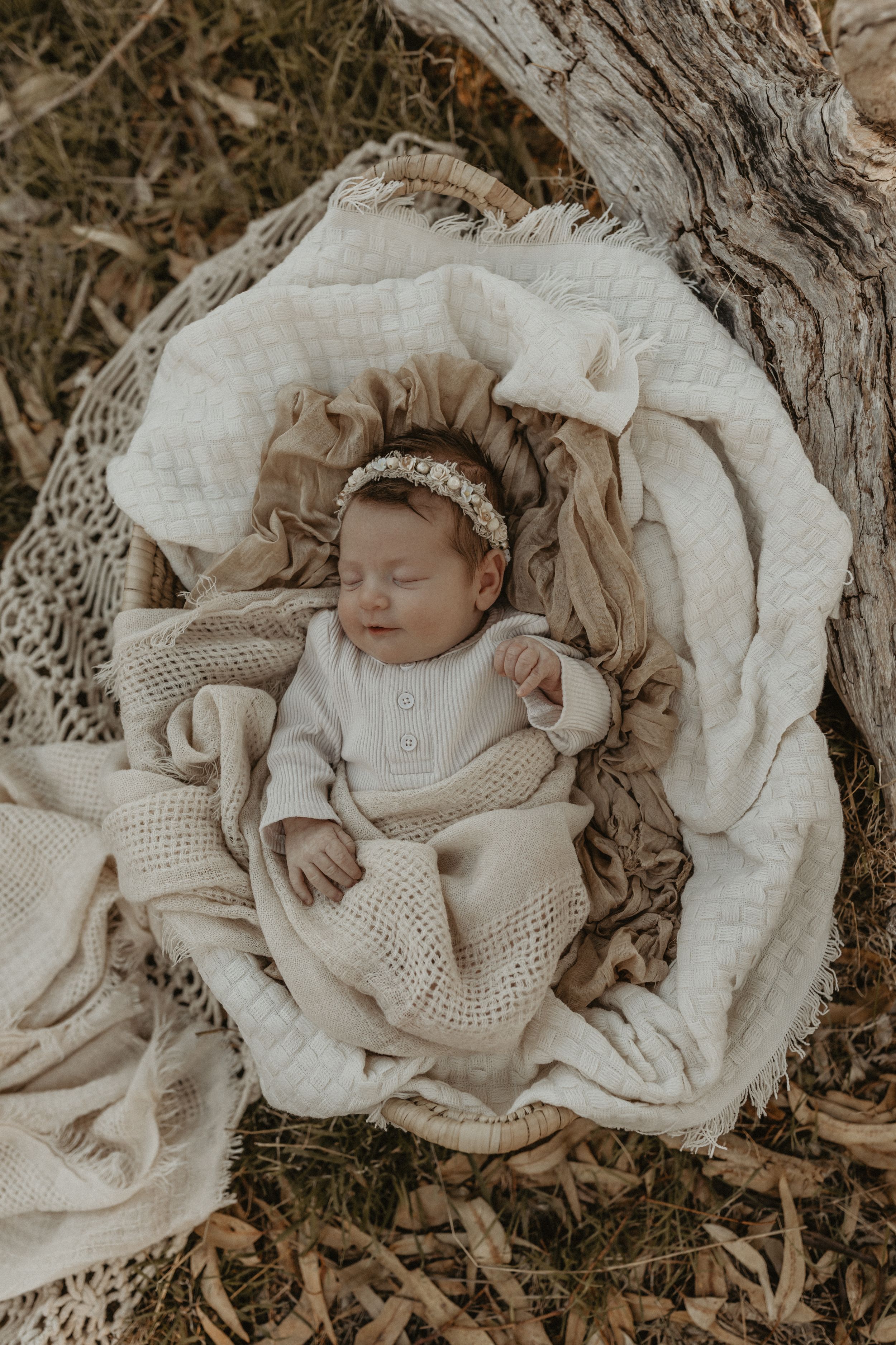 Courtney Healy Photography