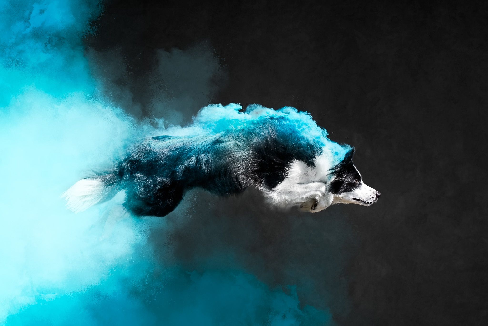 2023 Powder Shoot Sessions - Kaytlin Winkels Photography