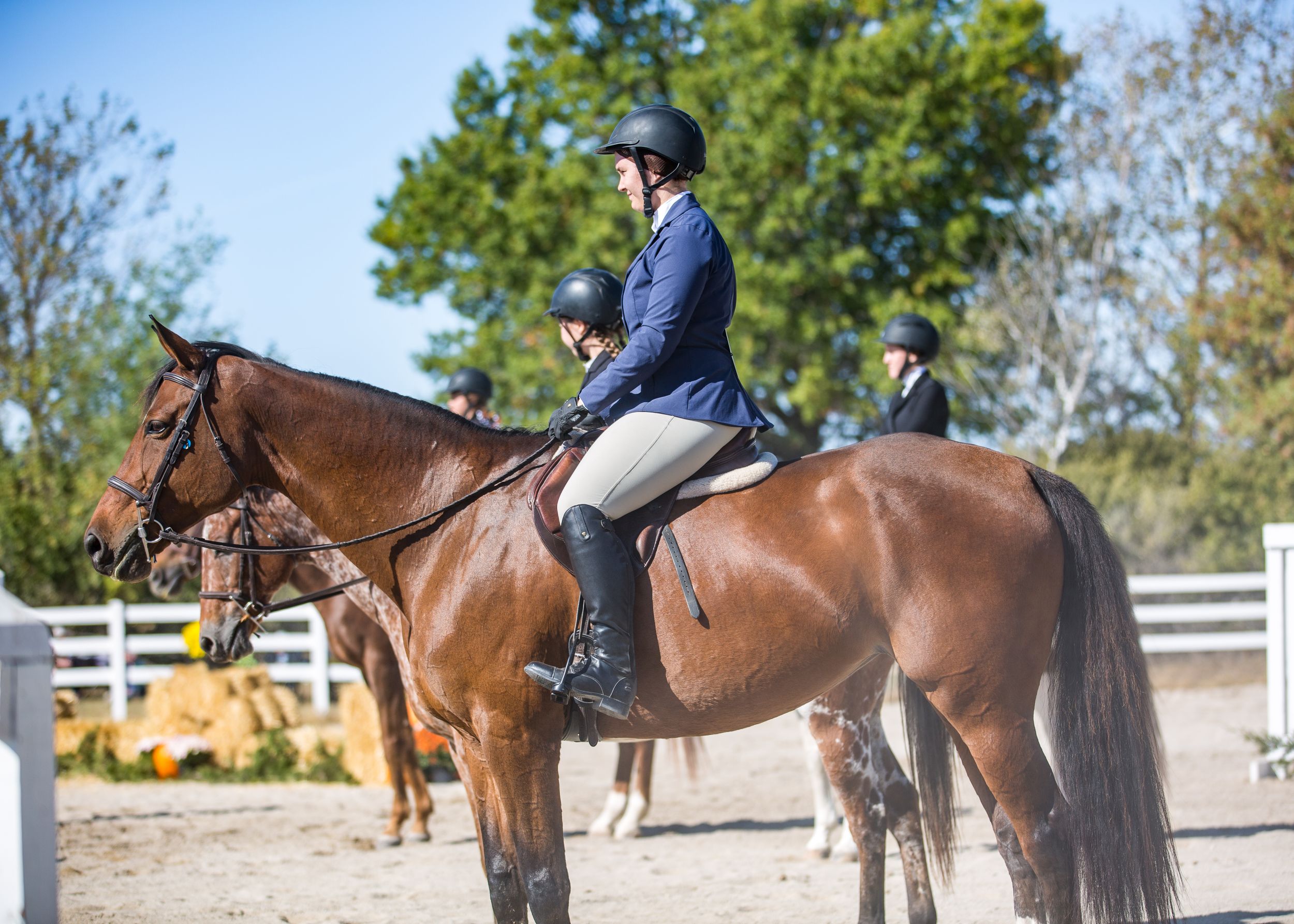 KCPHA and KHJA Show Photography - HLJ Images
