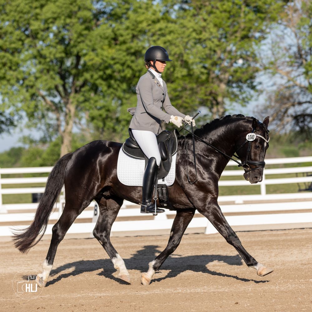 HLJ Images Horse Show Photography - HLJ Images