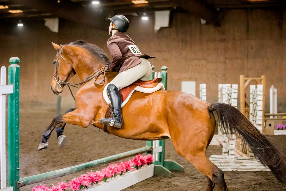 KCPHA and KHJA Show Photography - HLJ Images