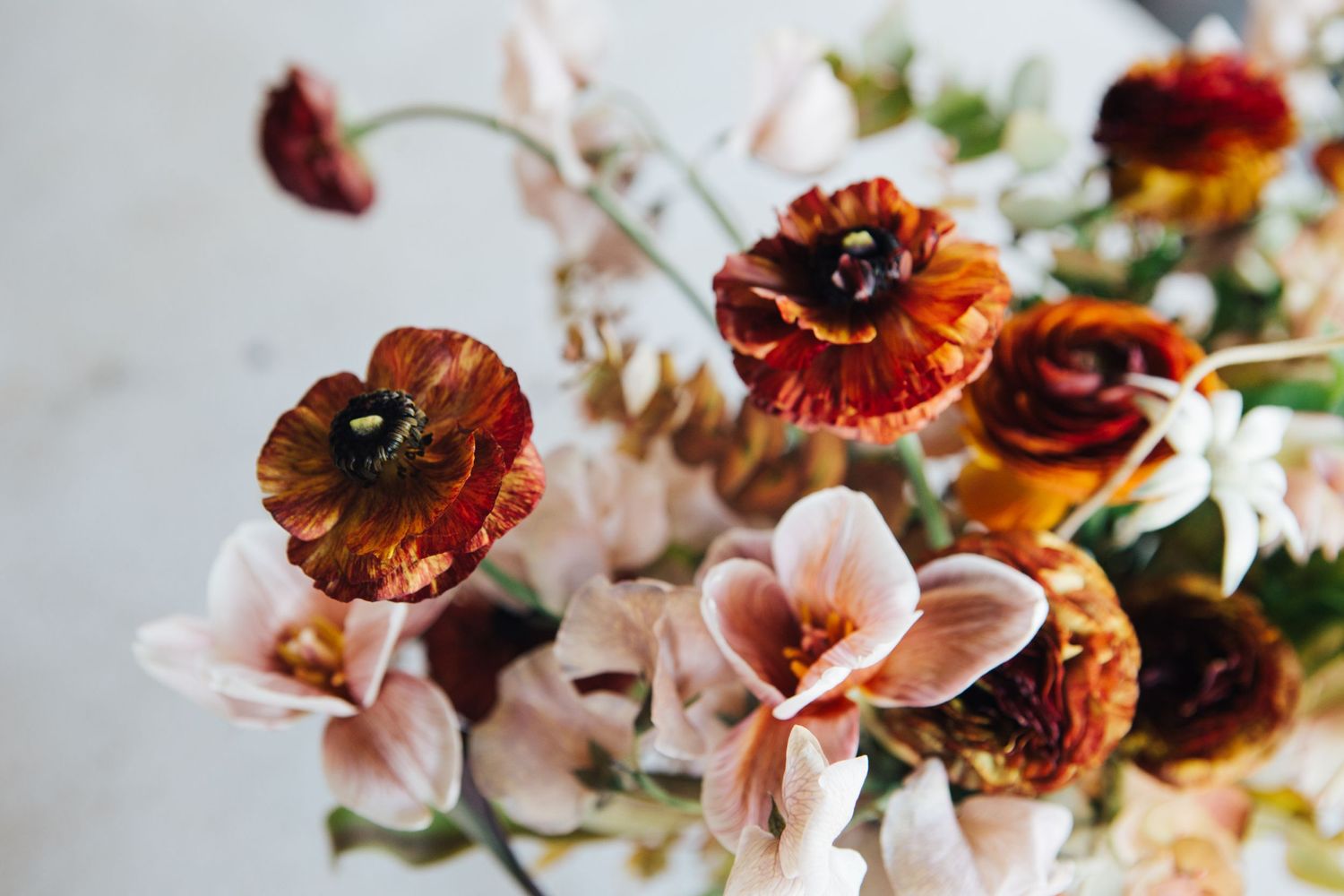 A Heart String Photography