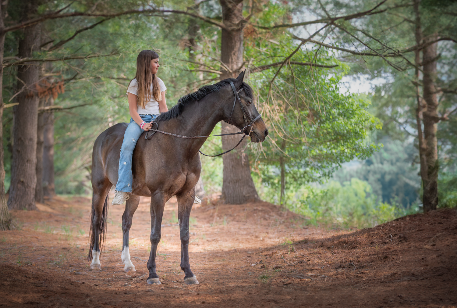 Horse Portraits - Caitlan Photography